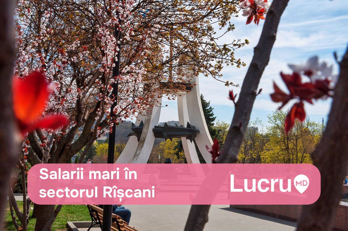 Top 20 cele mai plătite joburi din sectorul Rîșcani al Capitalei